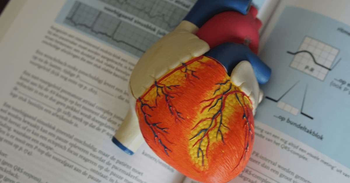 22 Best Ways To Boost Heart Health - The Relite Health