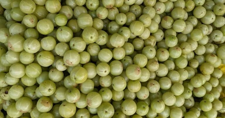 Gooseberry: 9 Impressive Health Benefits - The Relite Health