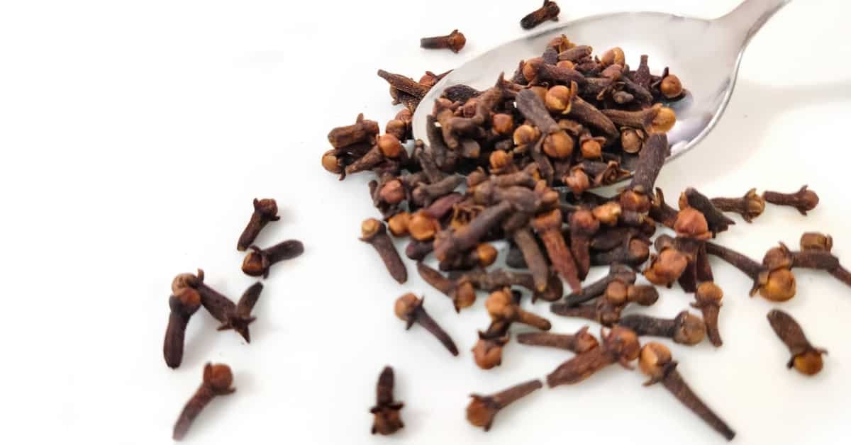 The POWER Of Cloves Benefits: 12 Proven Health Benefits - The Relite Health