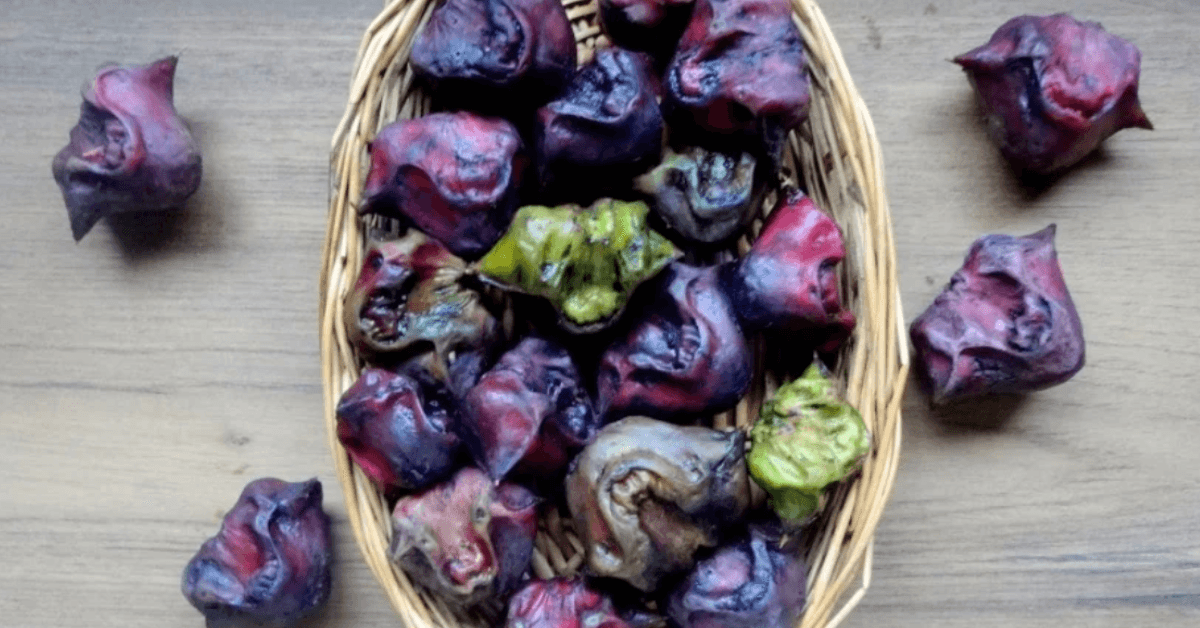 Beyond The Crunch: 15 Surprising Advantages Of Water Chestnut (Singhara ...